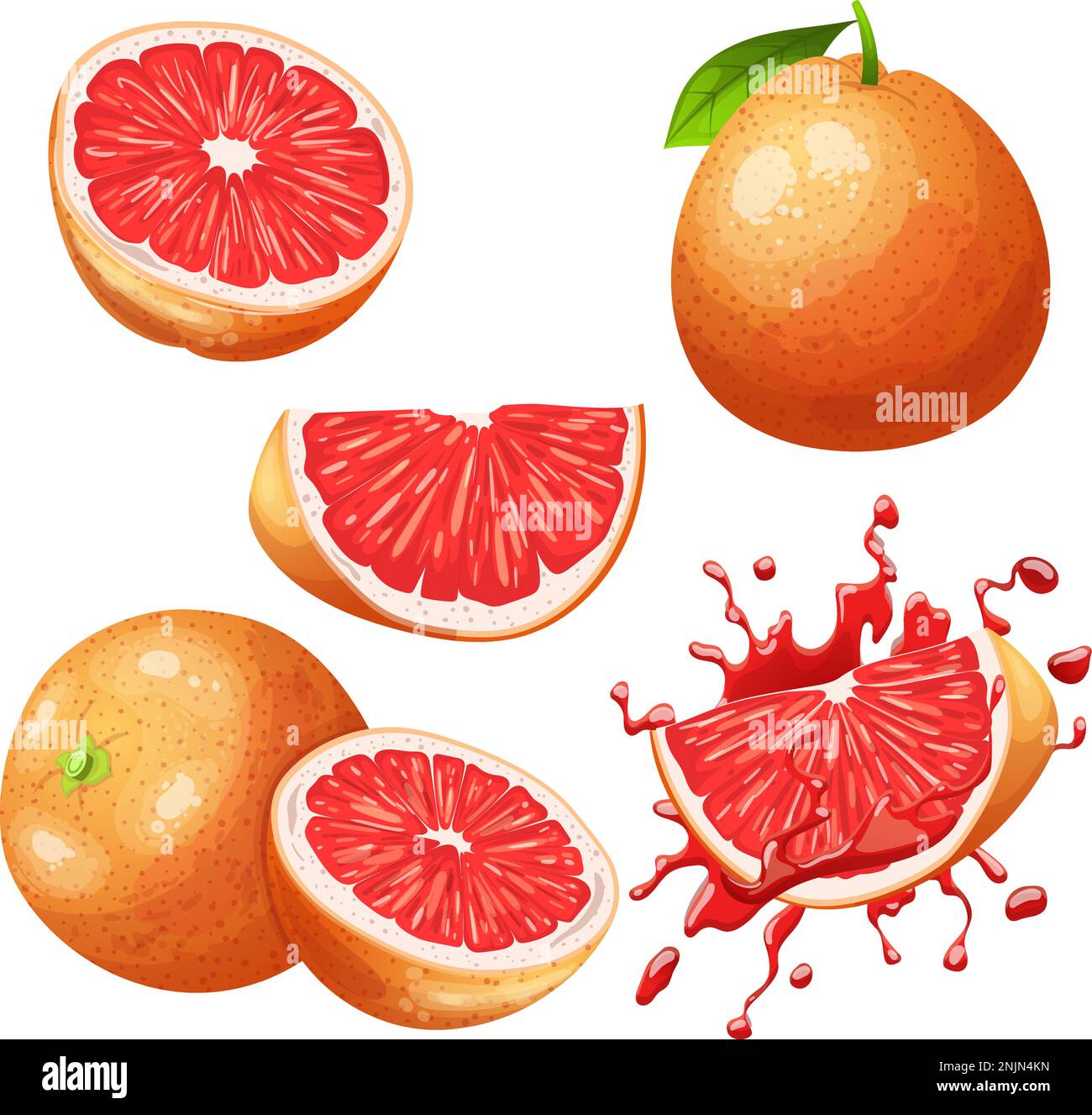 grapefruit fruit fresh set cartoon vector illustration Stock Vector Image & Art - Alamy