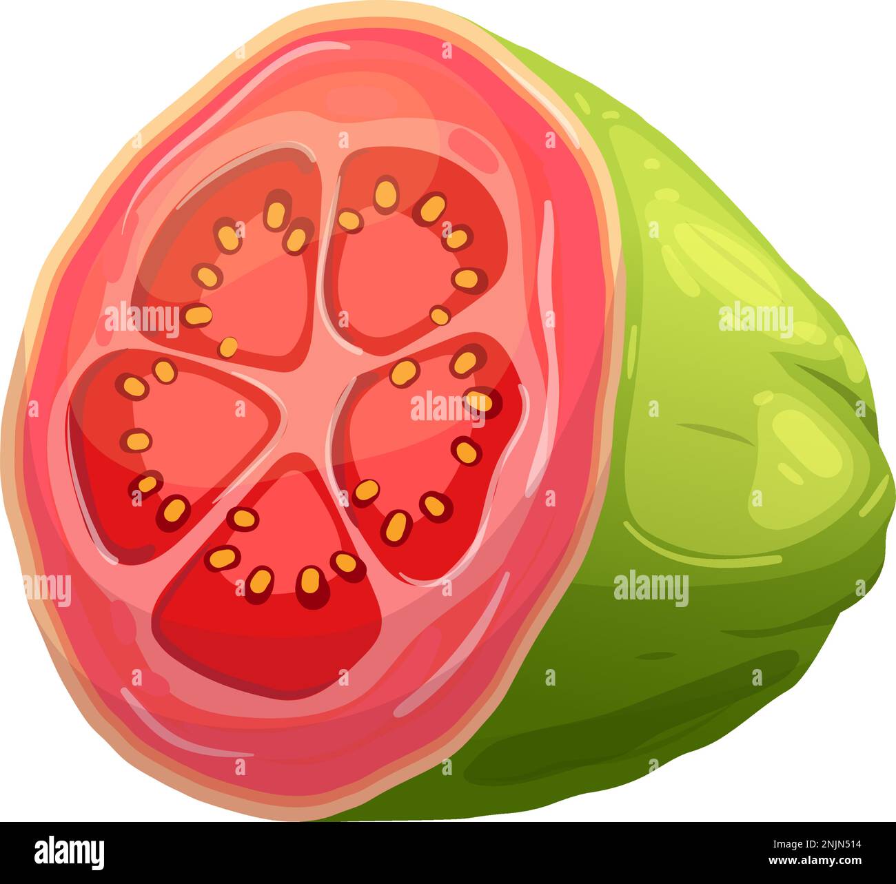 guava fruit fresh food cartoon vector illustration Stock Vector Image ...