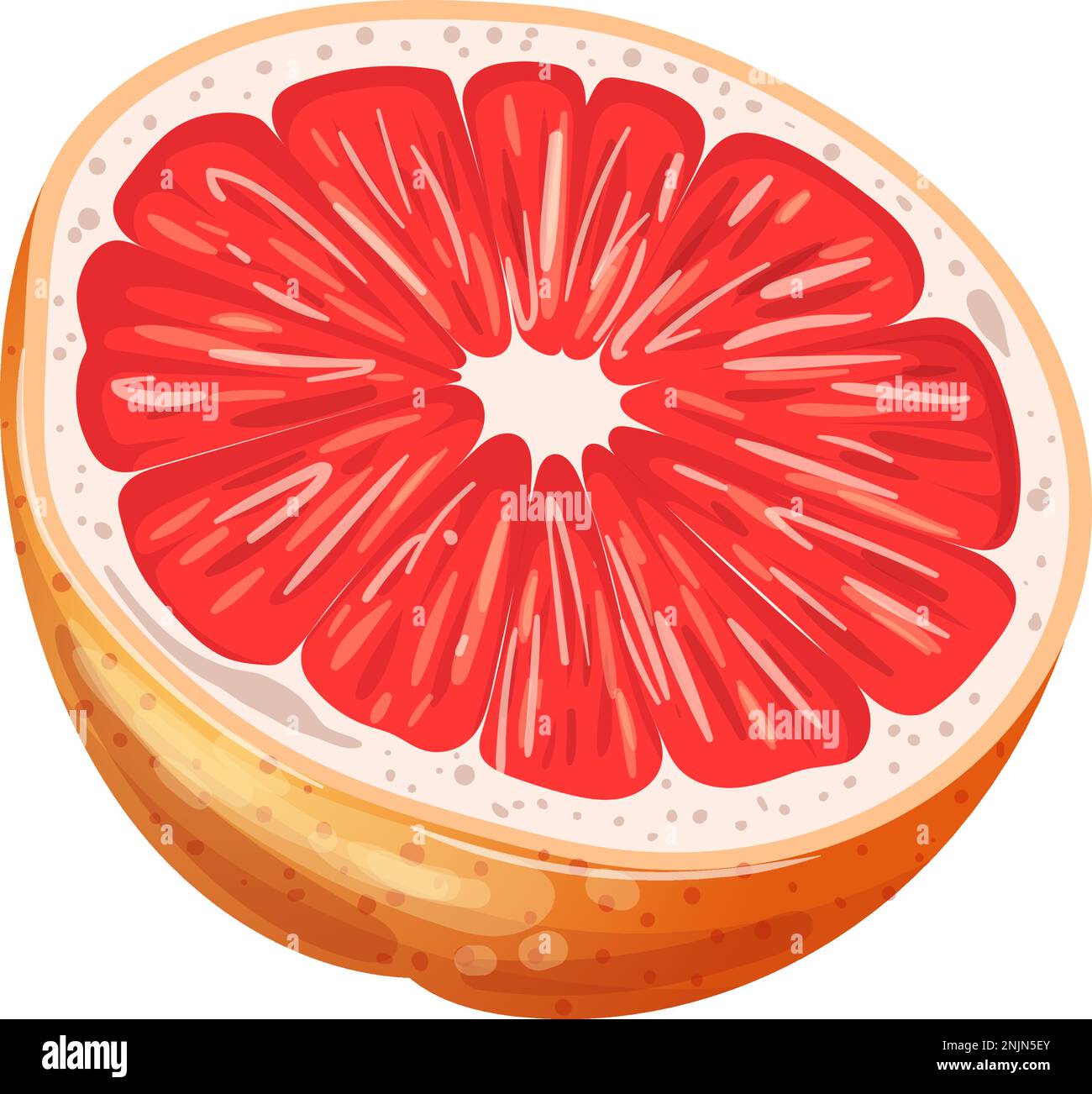 grapefruit fruit cut cartoon vector illustration color Stock Vector ...