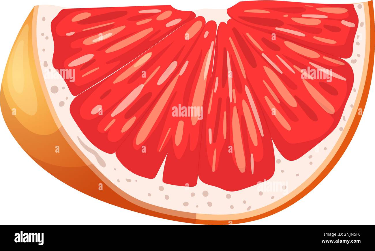 grapefruit fruit cut cartoon vector illustration color Stock Vector Image & Art - Alamy