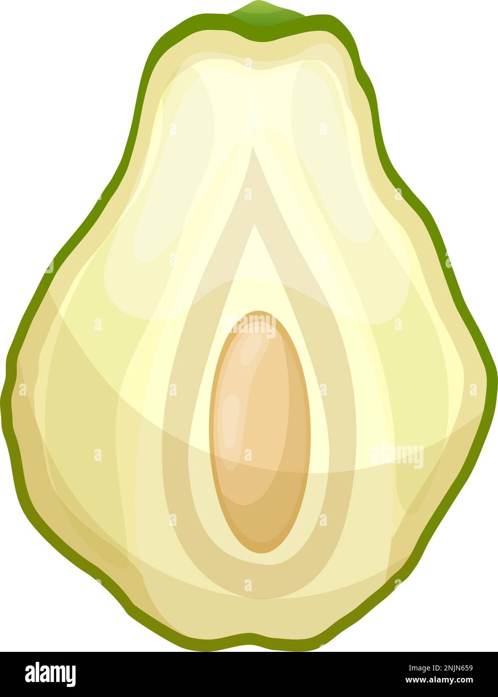 chayote fresh cartoon vector illustration color sign Stock Vector Image ...
