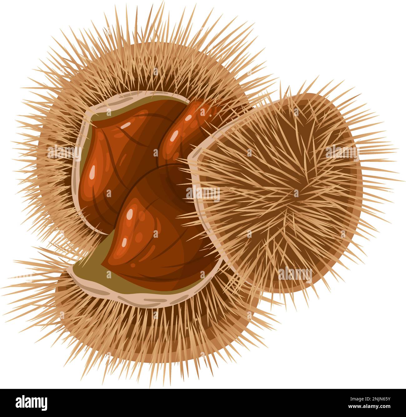 chestnut autumn food cartoon vector illustration color Stock Vector ...