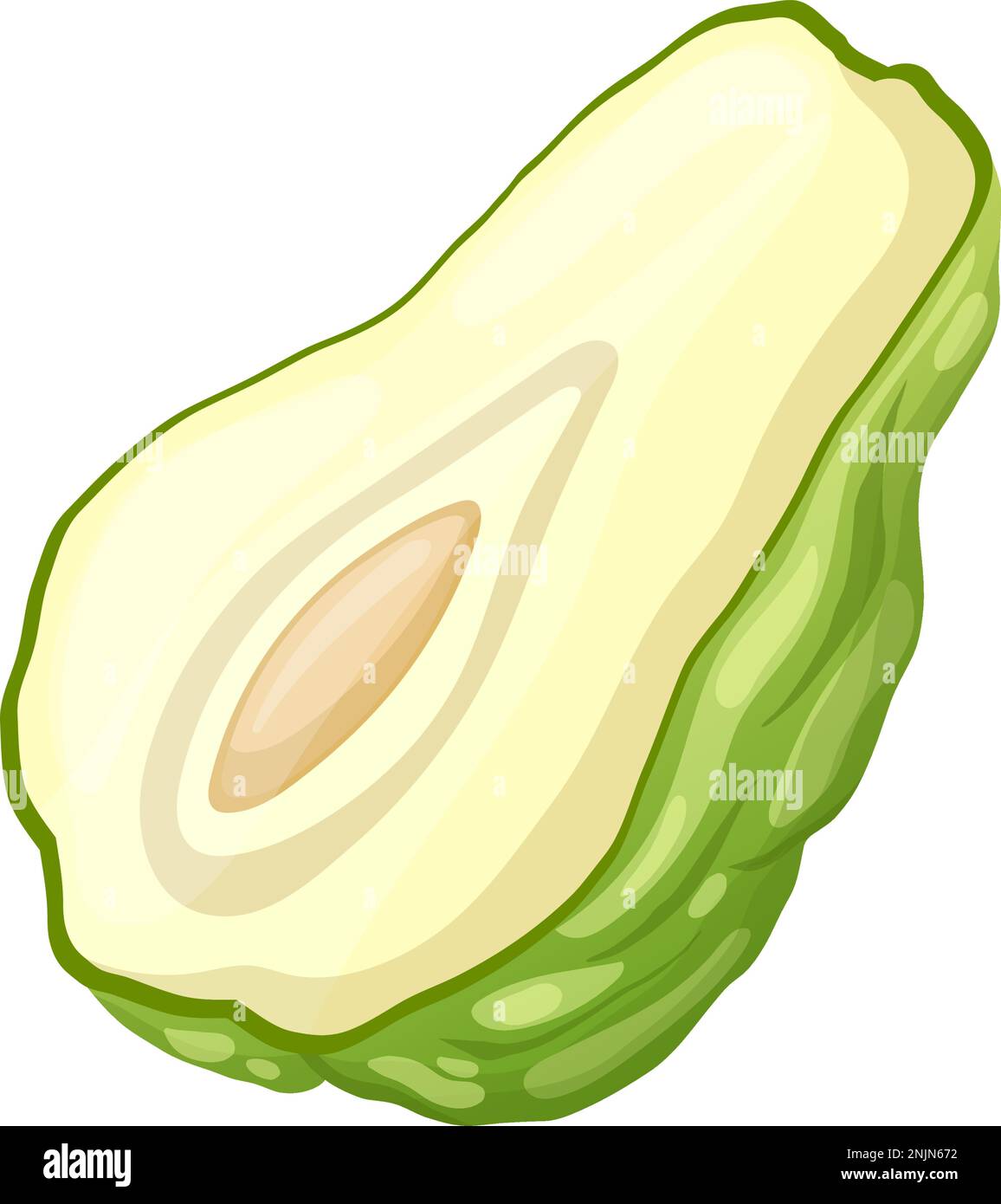 chayote fresh cartoon vector illustration color sign Stock Vector Image ...