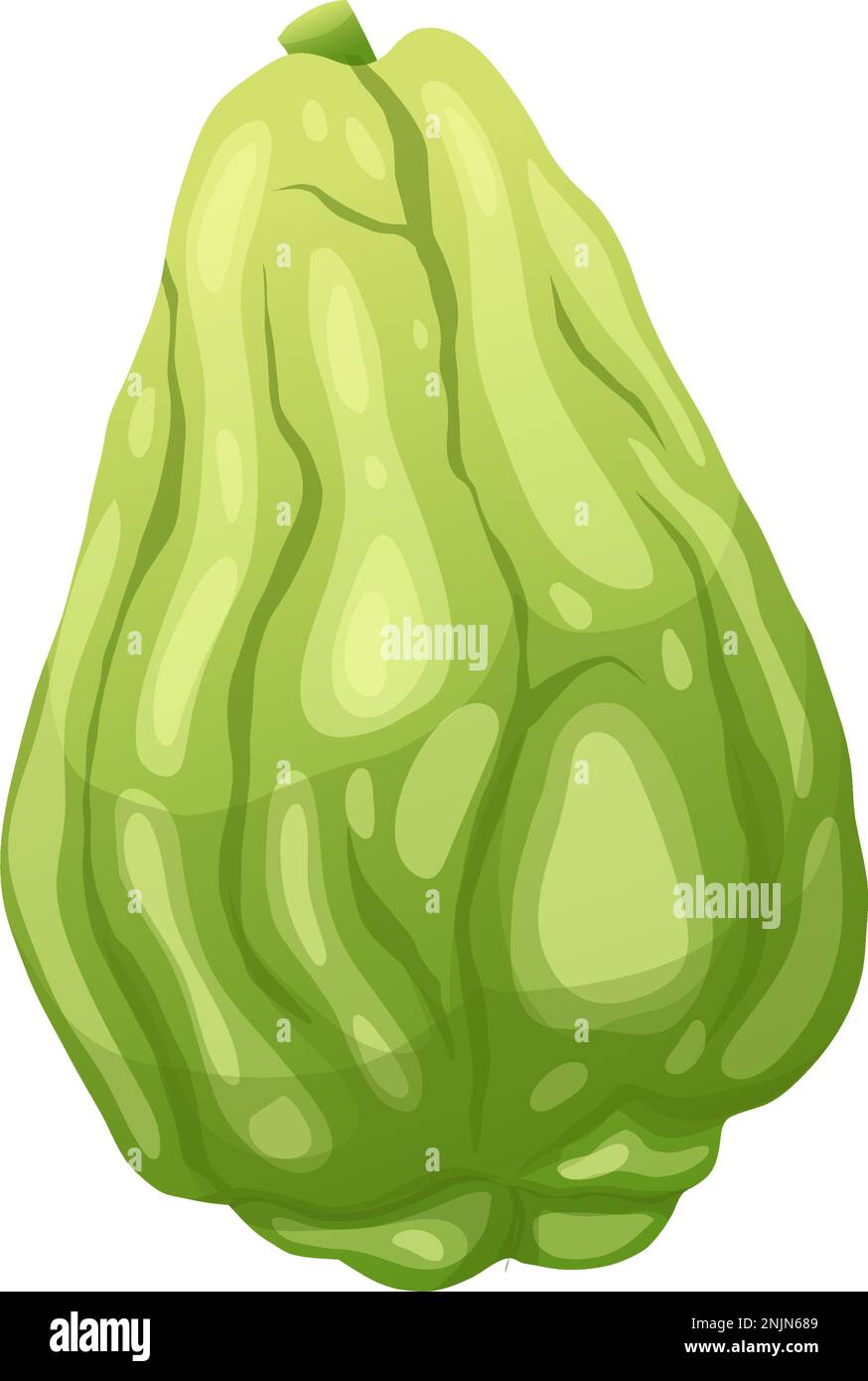 chayote fresh cartoon vector illustration color sign Stock Vector Image ...