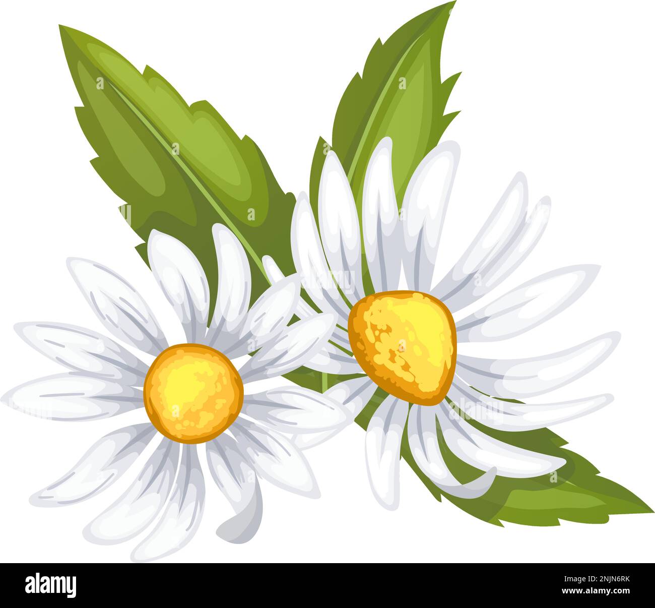 daisy flower summer cartoon vector illustration color sign Stock Vector ...