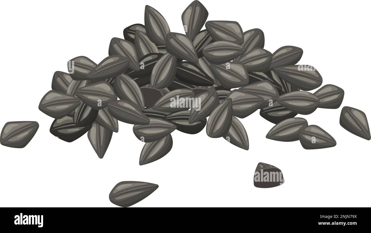 nigella sativa cumin black cartoon vector illustration Stock Vector ...