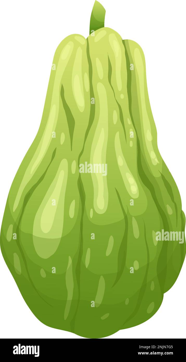 chayote fresh cartoon vector illustration color sign Stock Vector Image ...