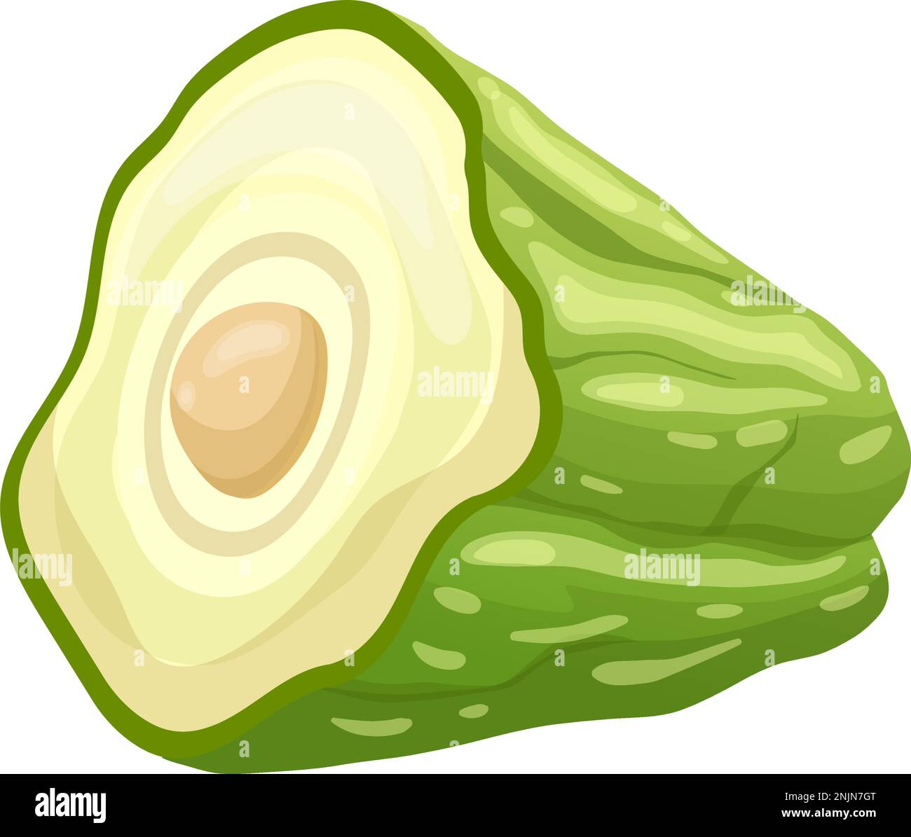 chayote fresh cartoon vector illustration color sign Stock Vector Image ...