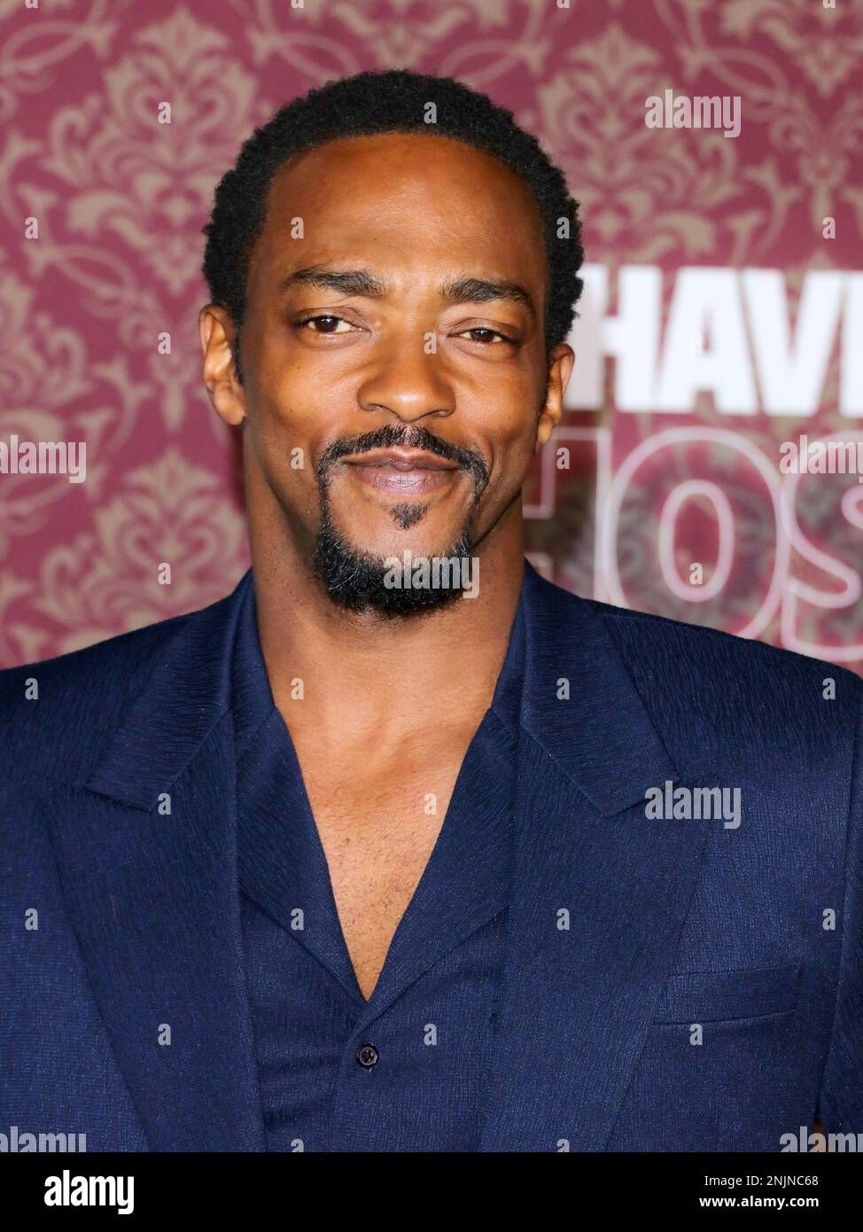 Hollywood, USA. 22nd Feb, 2023. Anthony Mackie arrives at The Premiere ...