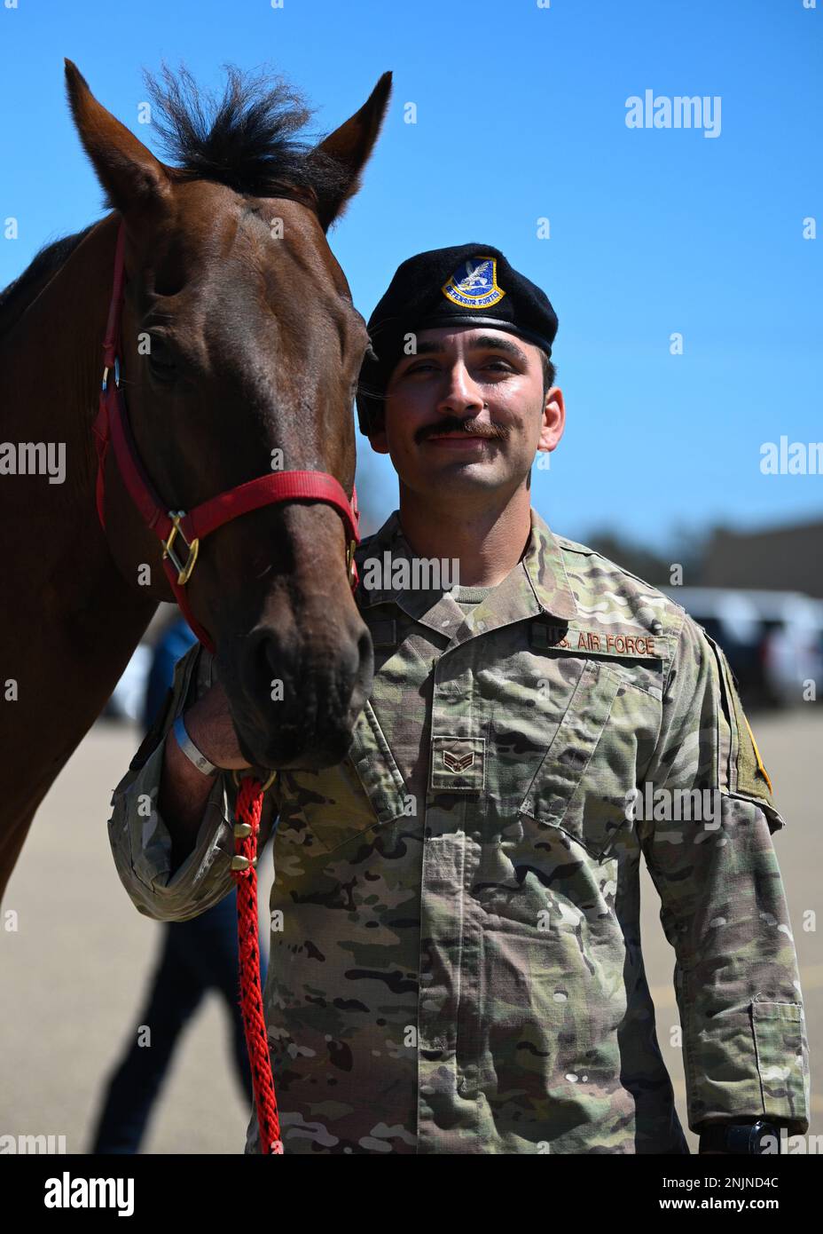 #TeamV said farewell to our Military Working Horses, Buck, Duke ...