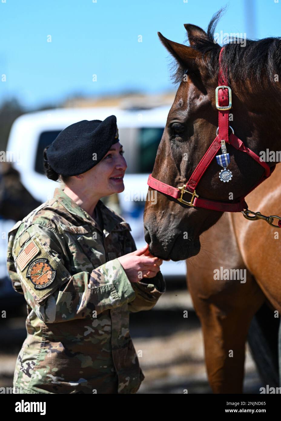 #TeamV said farewell to our Military Working Horses, Buck, Duke ...