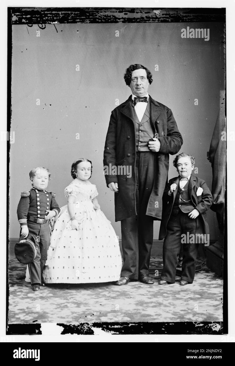 Portrait of General Tom Thumb and Miss Lavinia Warren, two famous ...