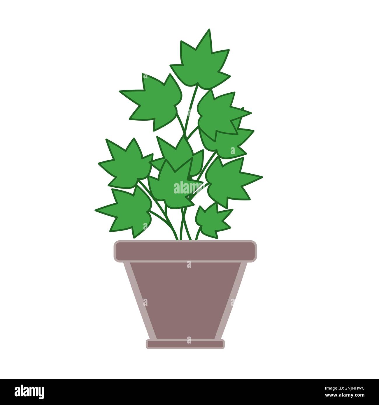 Parsley herb in pot in flat technique vector illustration Stock Vector ...