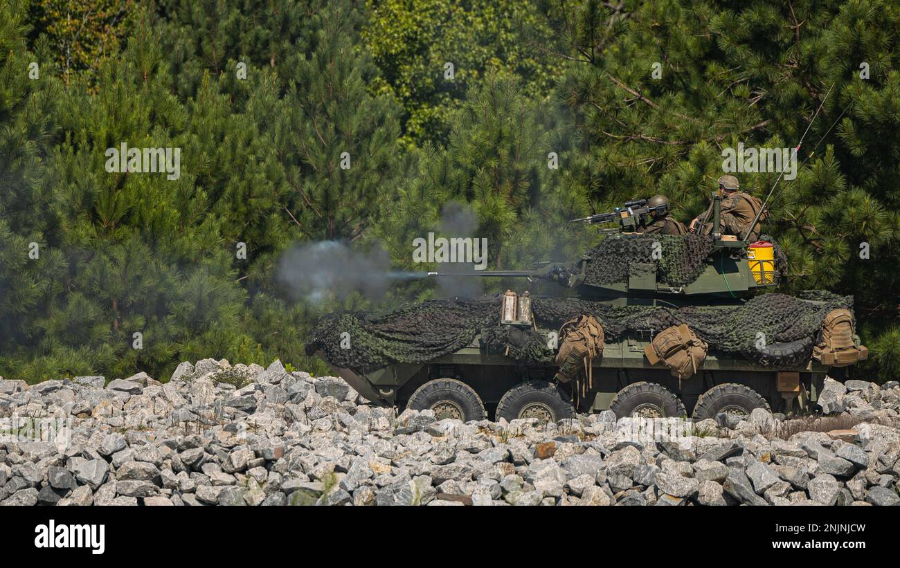 U.S. Marines with 2d Light Armored Reconnaissance Battalion (LAR), 2d ...