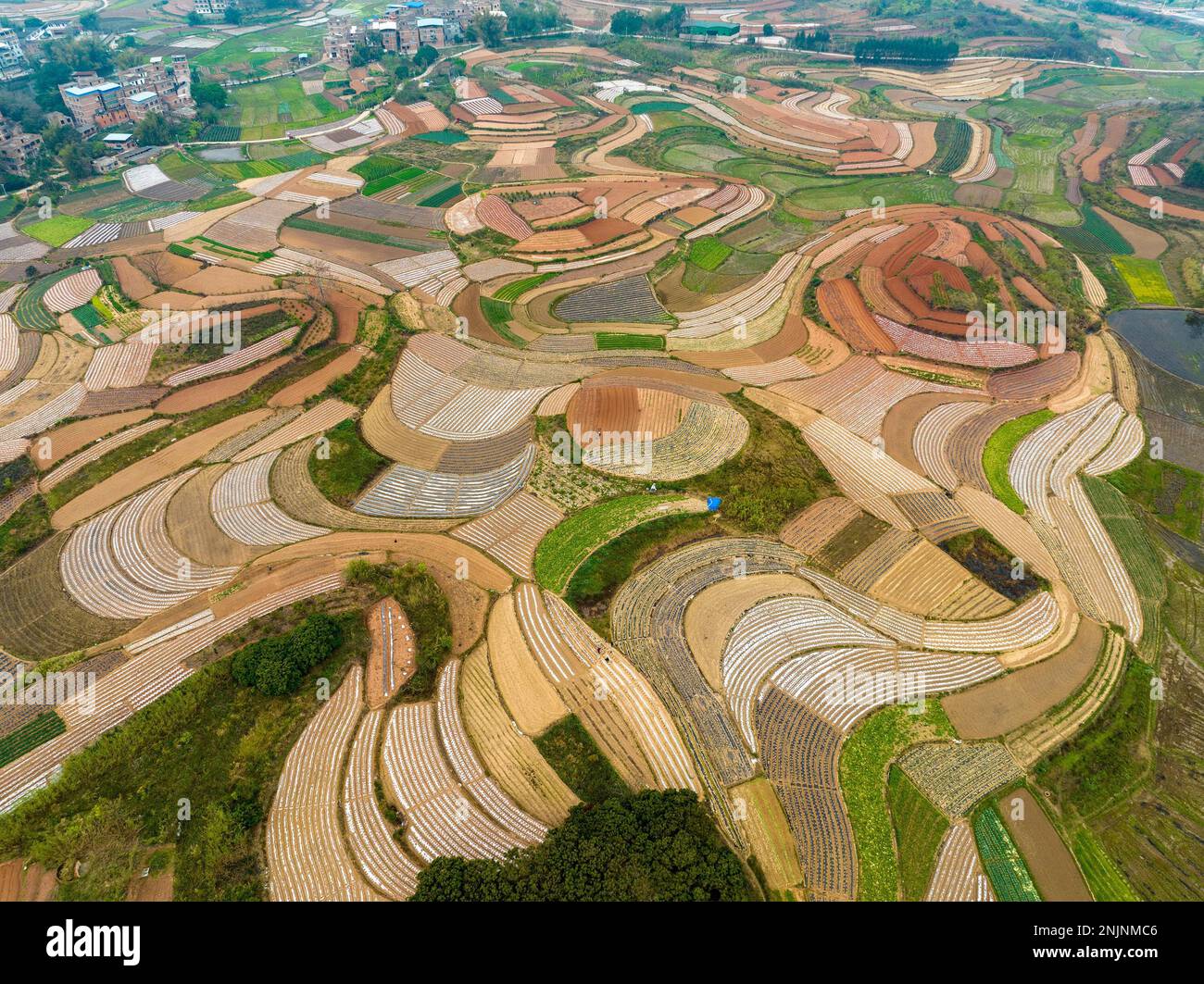 Aerial photo shows the colorful scene of Pumiao Town, Yongning District ...