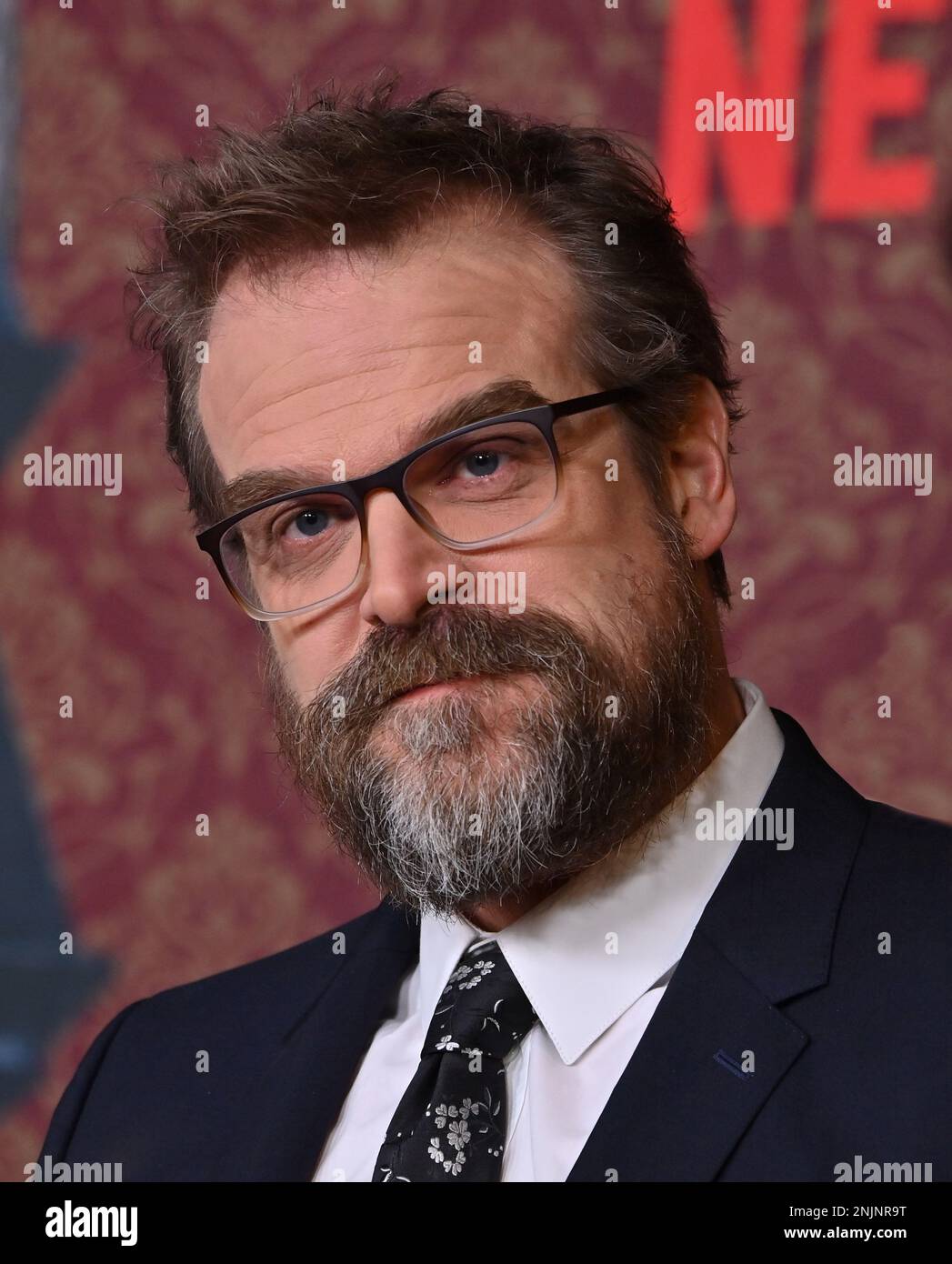 Hollywood, CA. February 22, 2023, David Harbour arriving at the ...