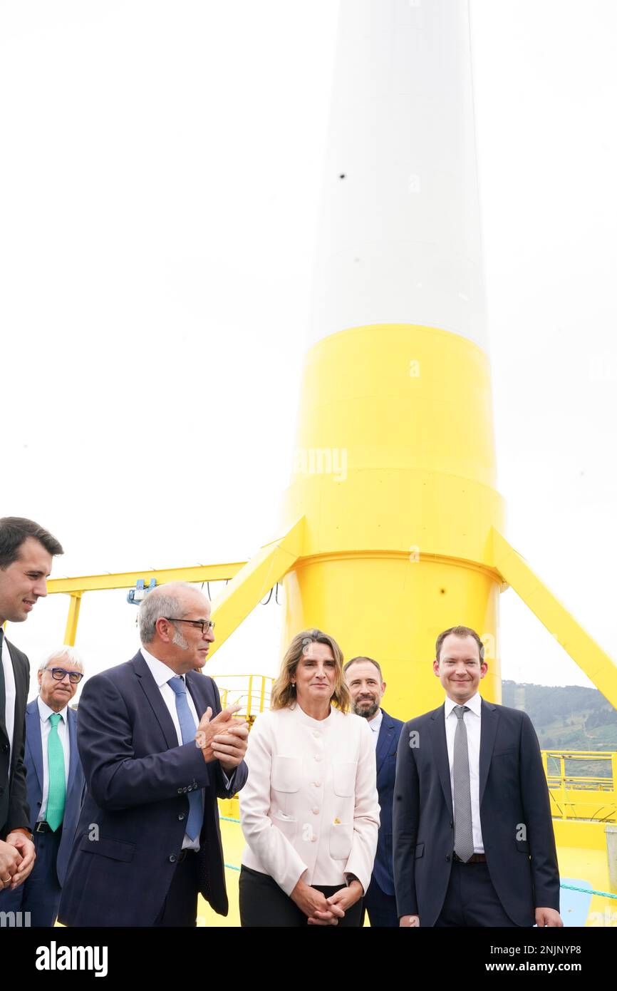 The director of floating, hydrogen, development optimization RWE ...
