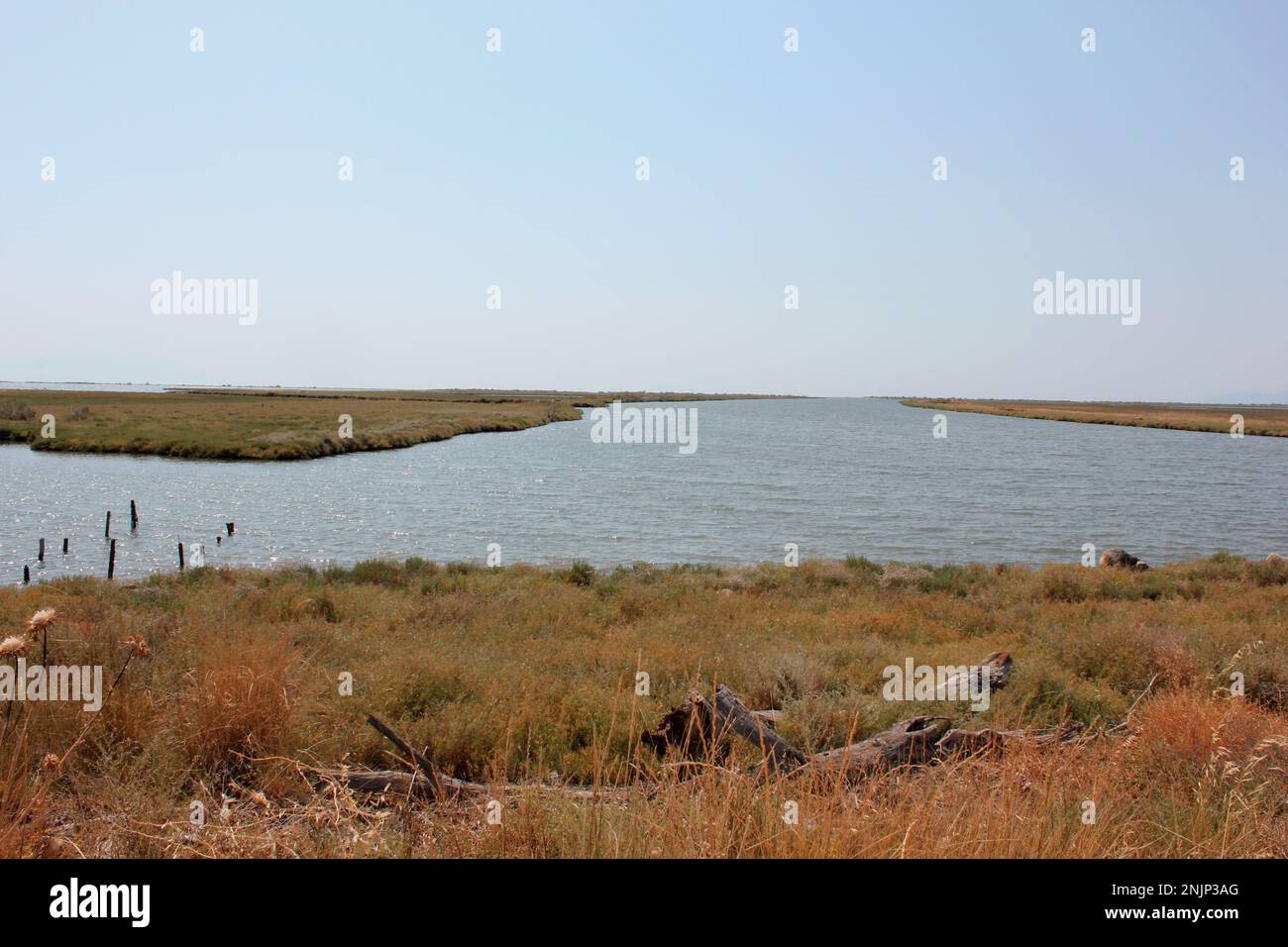 Delta Evros National Park, Evros Thraki Greece Stock Photo - Alamy