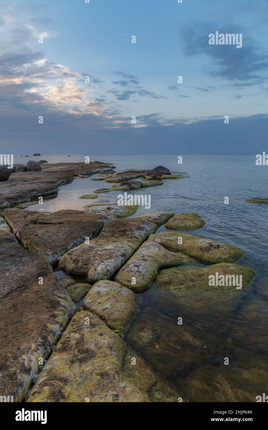 Beautiful sea shore view with with moss-covered rocks. Algae growing on ...