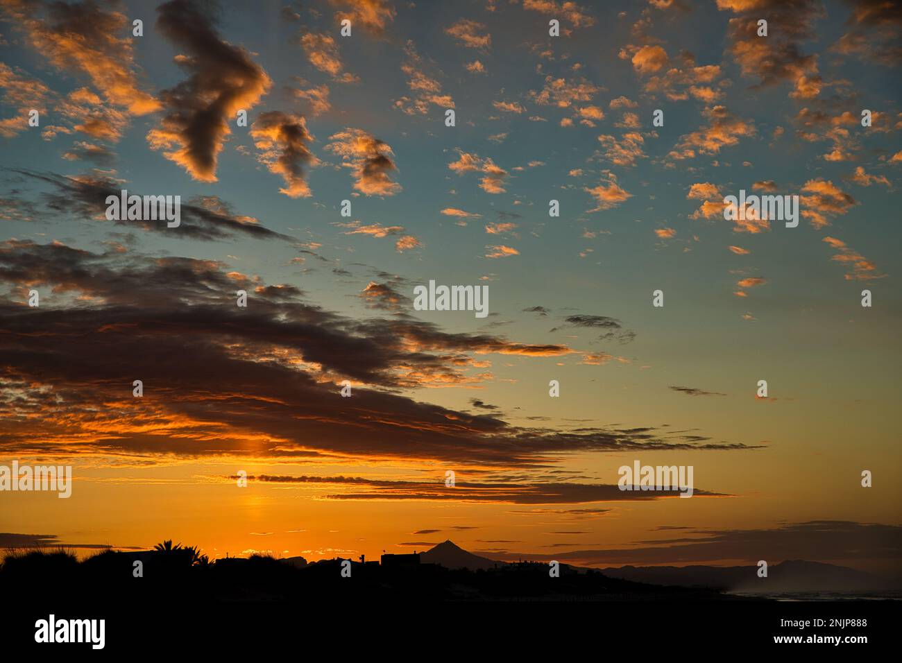 Dramatic sunset in a Spanish landscape with palm trees and other trees ...