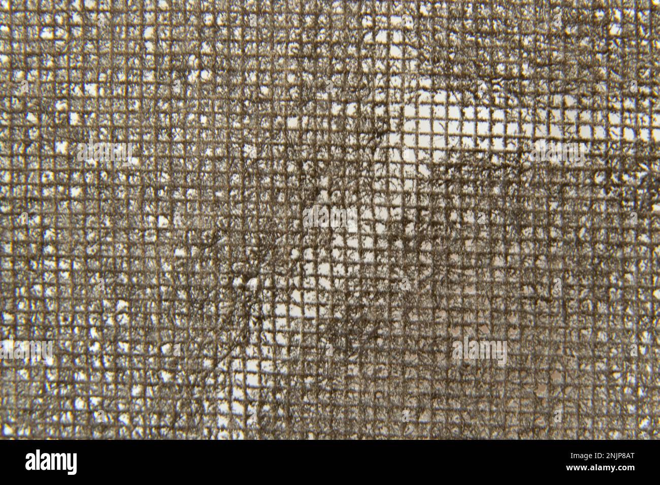 Dust mesh hi-res stock photography and images - Alamy