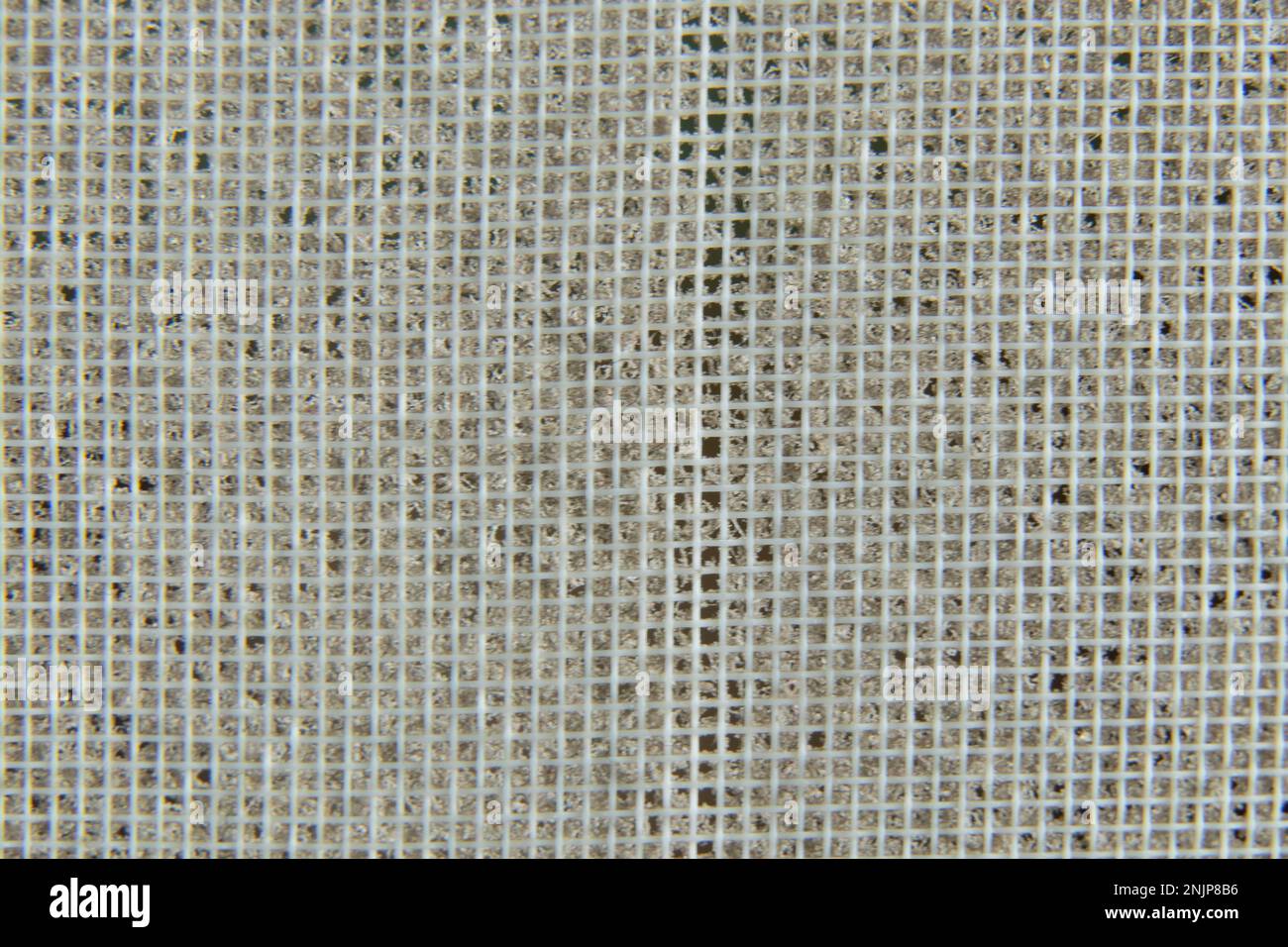 Wire mosquito mesh hi-res stock photography and images - Alamy