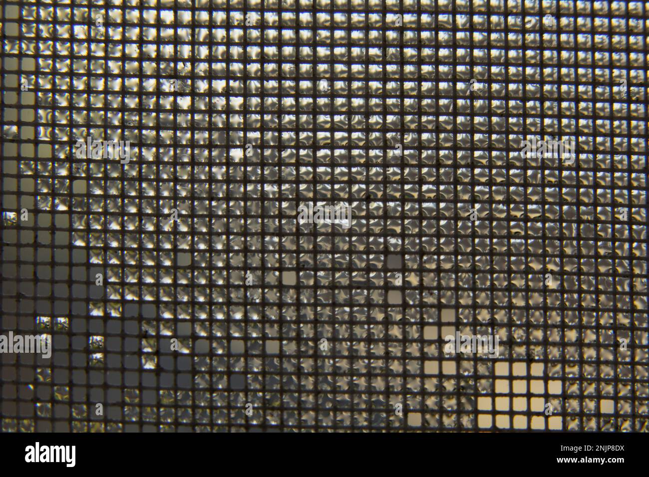 wet protective mesh for conditioning with water drops, macro Stock ...