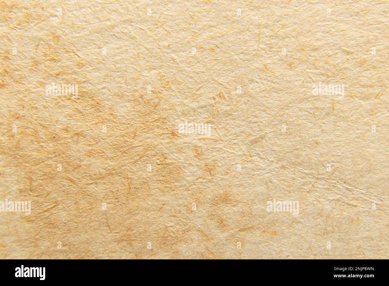 light beige background of old paper book Stock Photo - Alamy