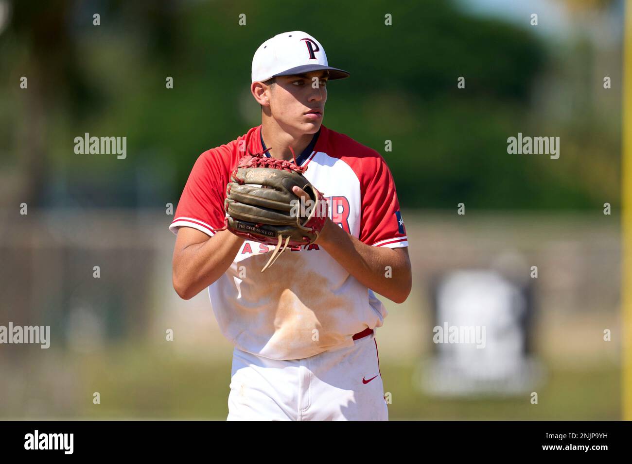 Alexander Solis during the WWBA World Championship at Roger Dean Stadium Complex on October 10 ...
