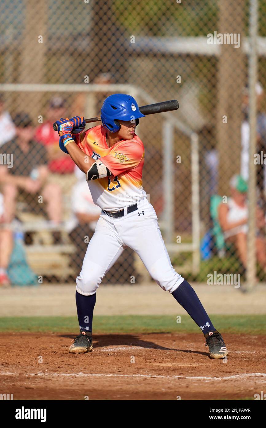 Javier Vazquez during the WWBA World Championship at Roger Dean Stadium ...