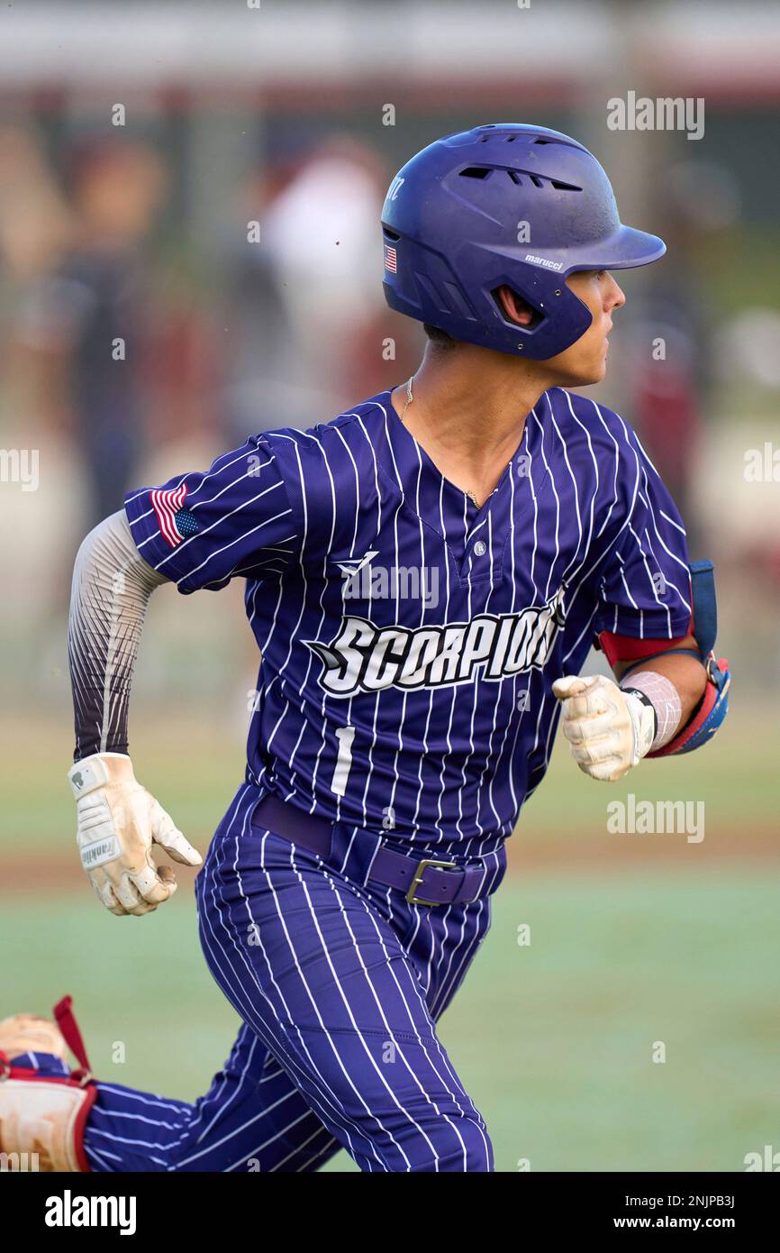 Alex Vazquez during the WWBA World Championship at Roger Dean Stadium ...