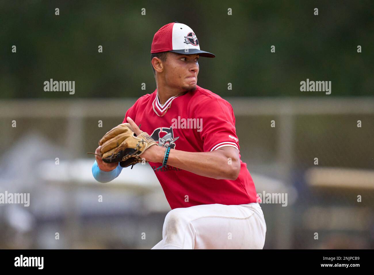 Francesco Capocci during the WWBA World Championship at Roger Dean Stadium Complex on October 7 ...