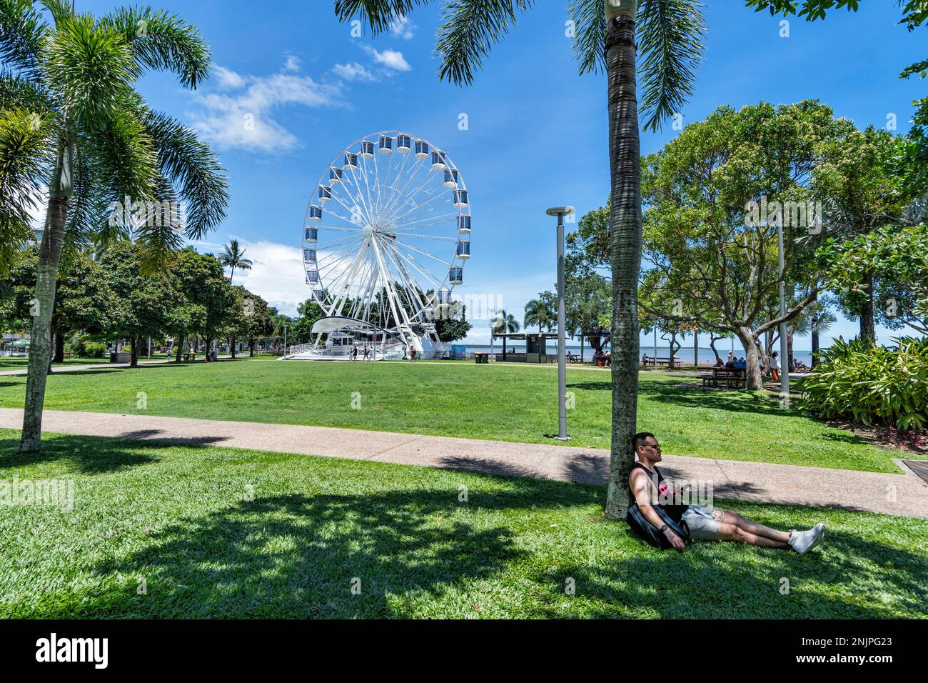 Persons relaxing under a palm tree on Cairns Esplanade with the Reef ...