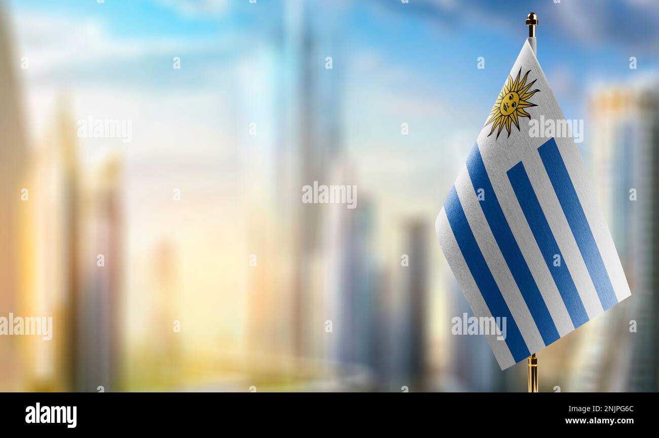Small flags of the Uruguay on an abstract blurry background Stock Photo ...