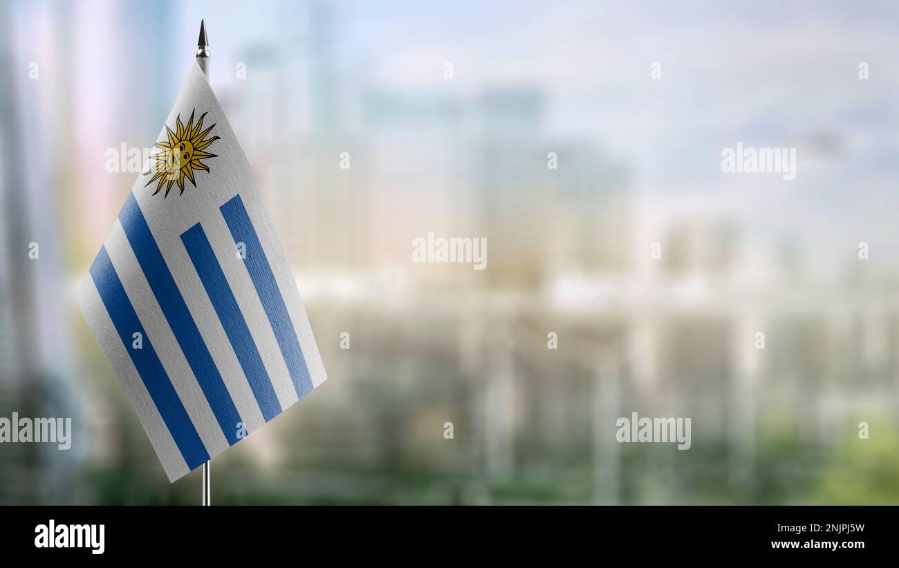 Small flags of the Uruguay on an abstract blurry background Stock Photo ...