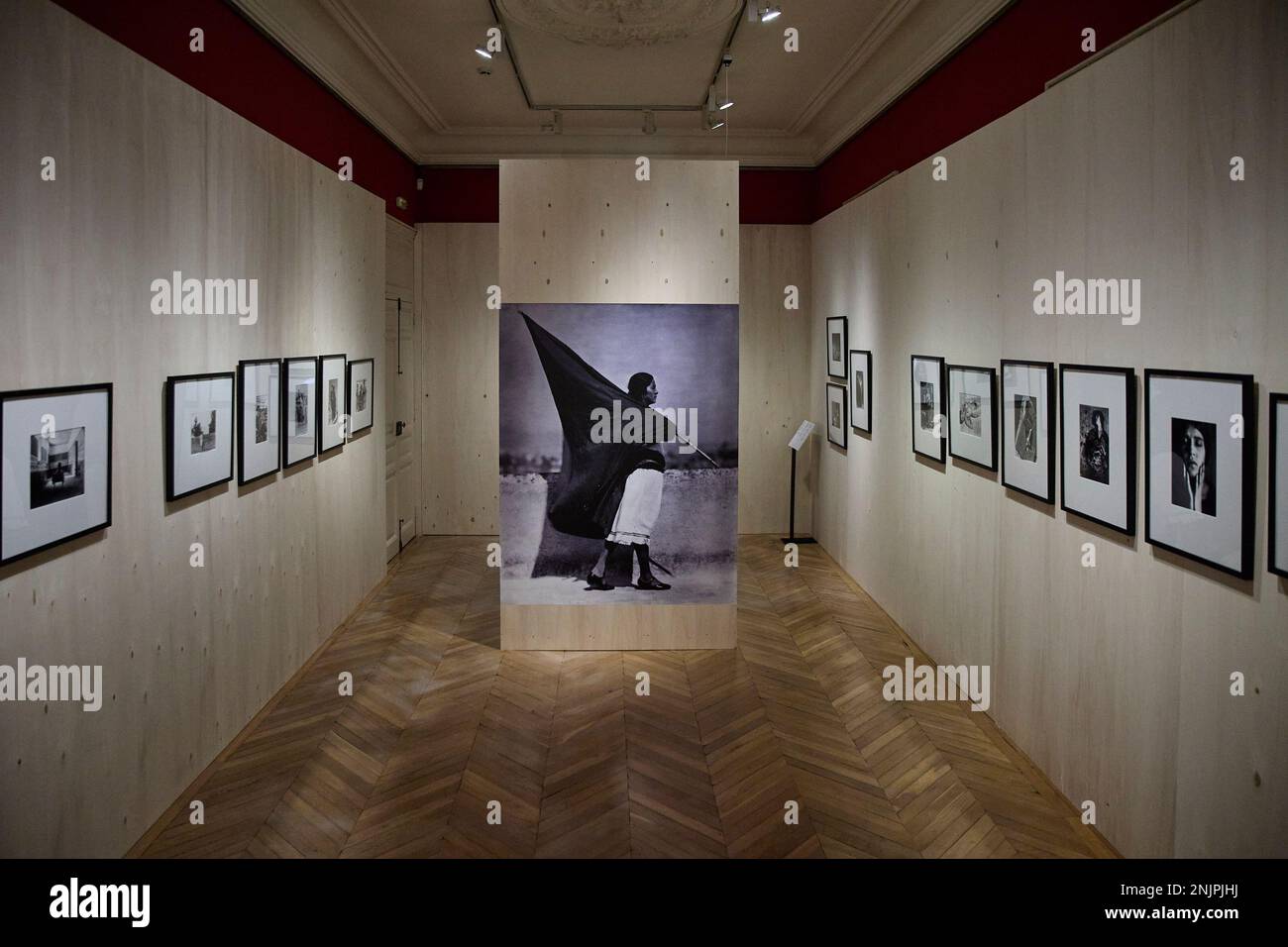 The photograph taken by Modotti, 'Woman with flag', Mexico City, 1928 ...
