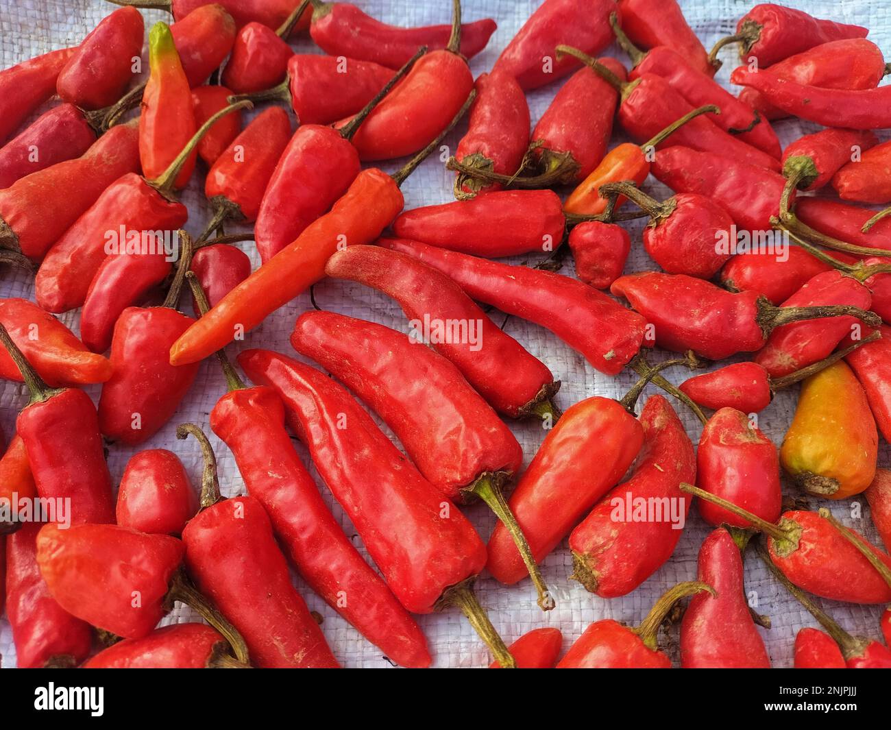 Chopped green chile peppers hi-res stock photography and images - Alamy