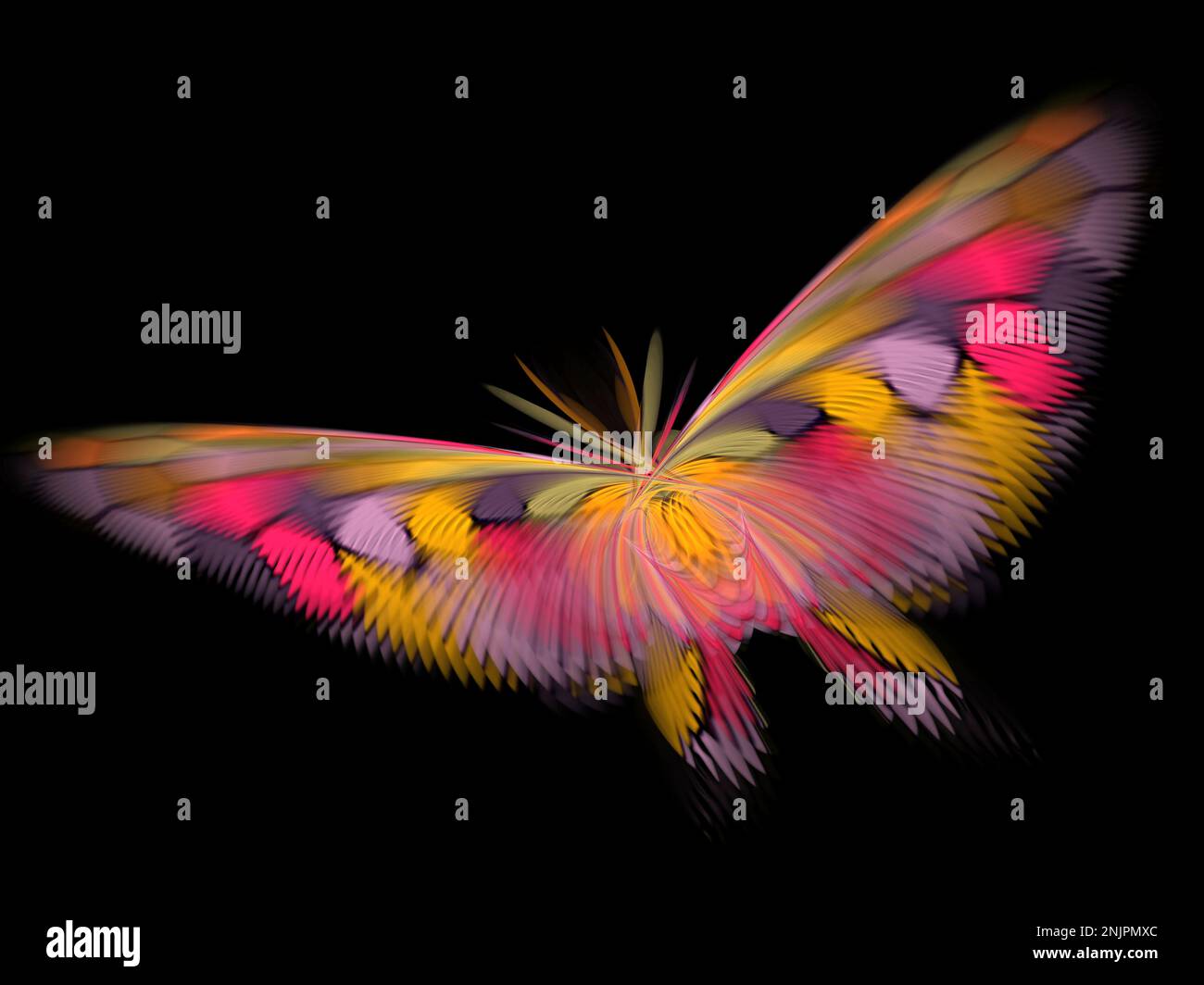 Mariposa Fractal