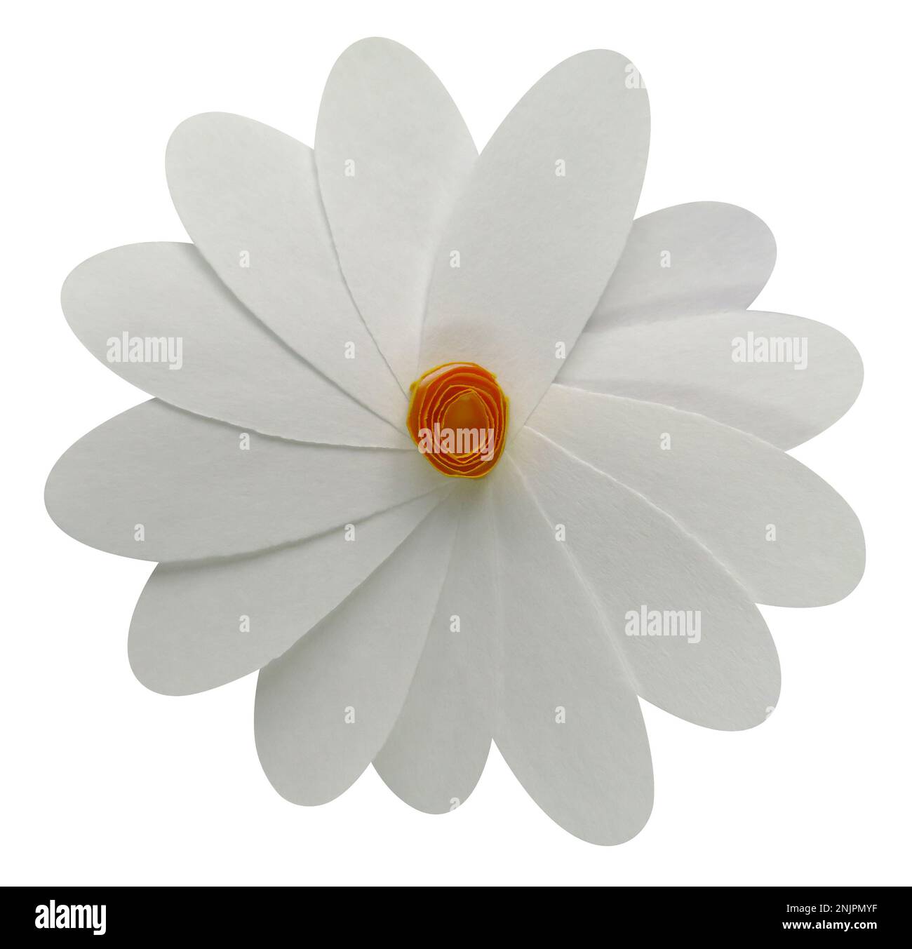 Chamomile flower made of paper isolated on white. Clipping Path ...