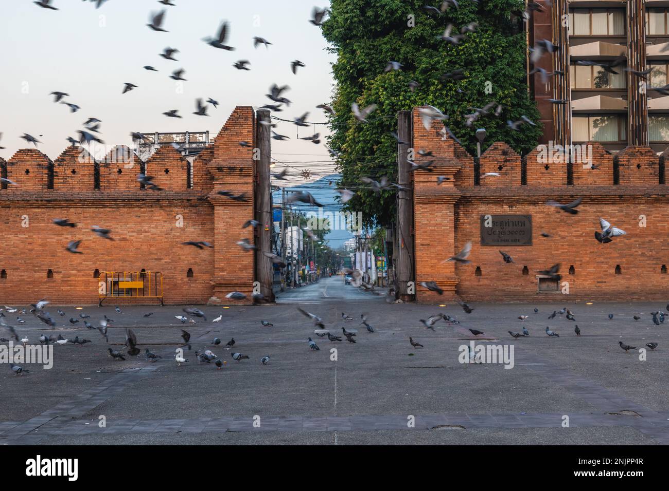 Tha Phae Gate, the eastern gate of chiang mai in thailand. Translation ...