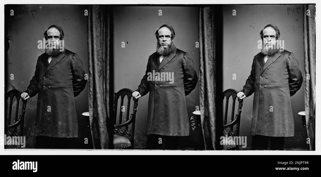 Portrait of Hon. Francis William Kellogg, a Michigan political and ...