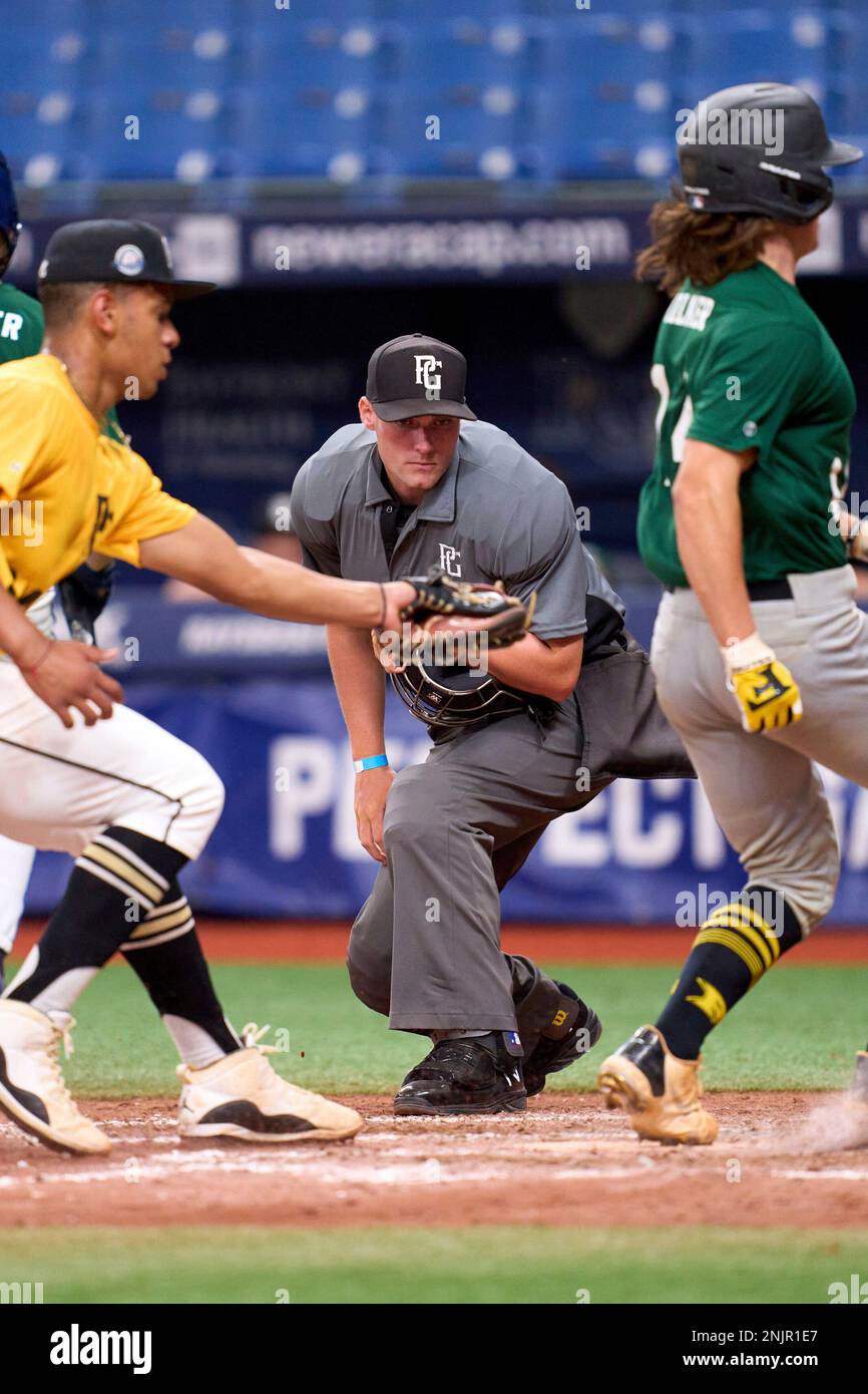 Umpire William Gallant looks on to make a call during the Perfect Game ...
