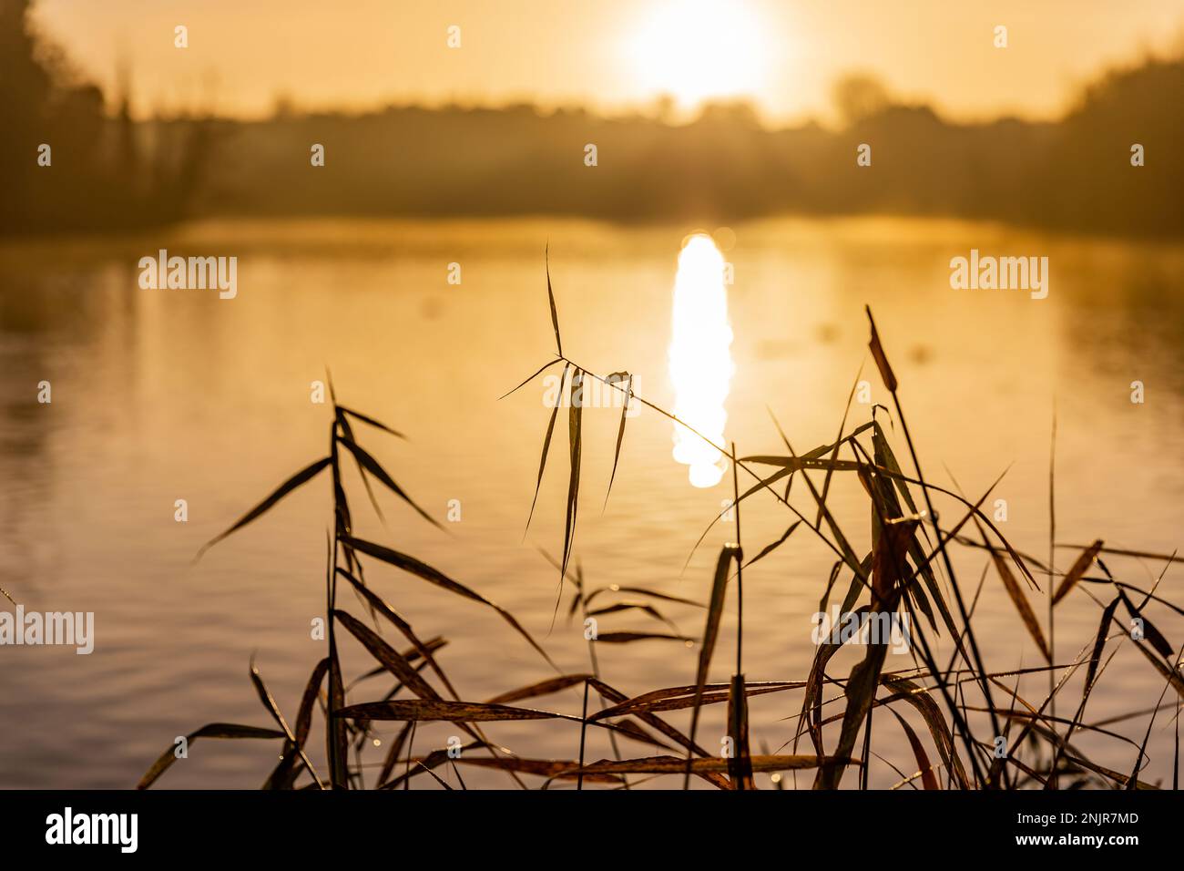 Watford local area photography, England, UK Stock Photo - Alamy