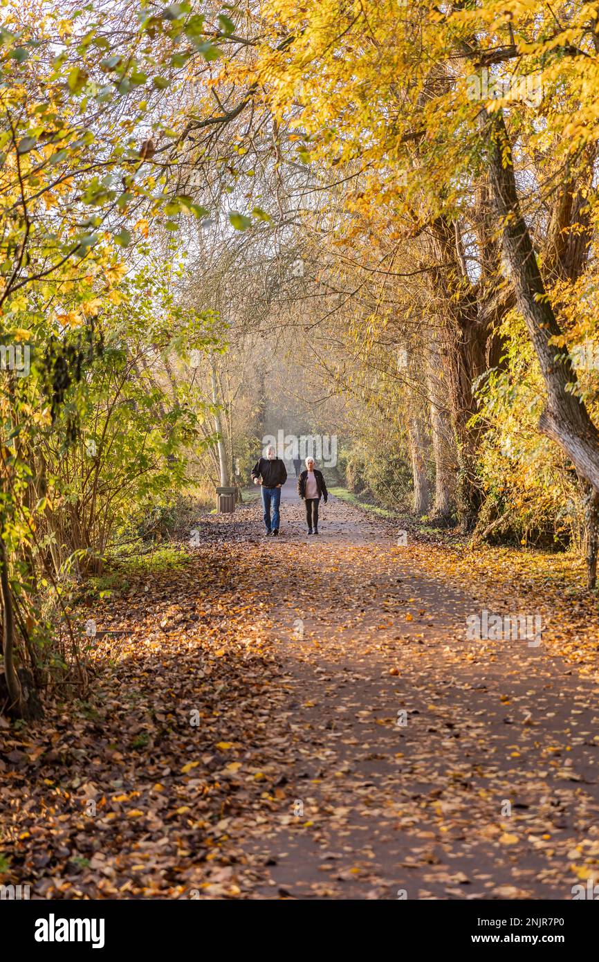 Watford local area photography, England, UK Stock Photo - Alamy