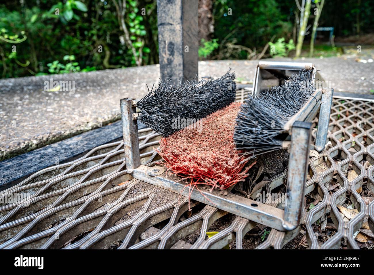 Pathogen hygiene boot cleaning station the Lamington National Park ...