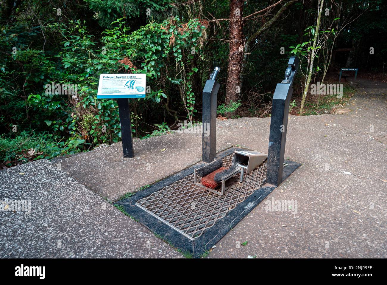 Pathogen hygiene boot cleaning station the Lamington National Park ...