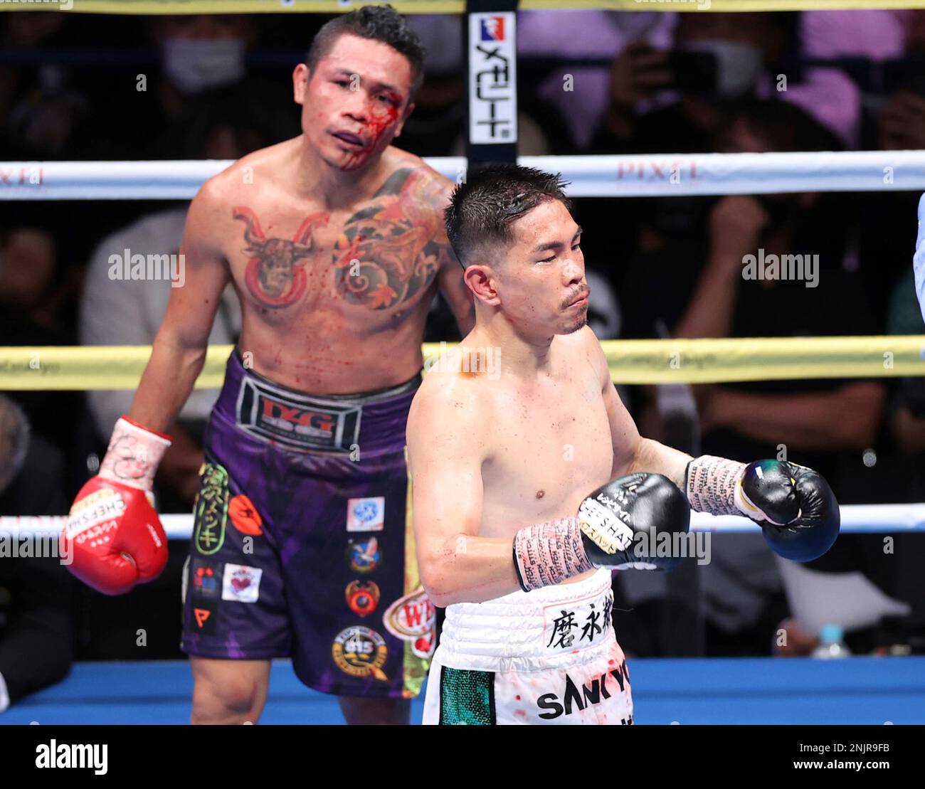 Kazuto Ioka (R), World Boxing Organization (WBO) super flyweight ...