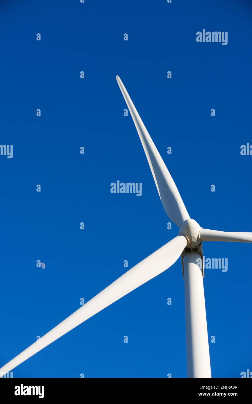 Wind turbine generator for sustainable electrical energy production ...