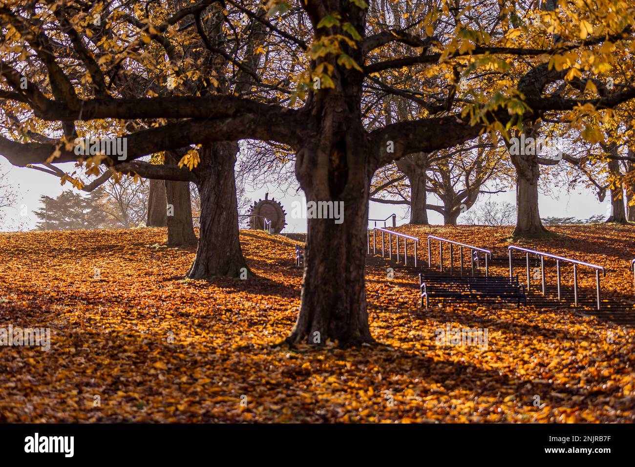 Watford local area photography, England, UK Stock Photo - Alamy