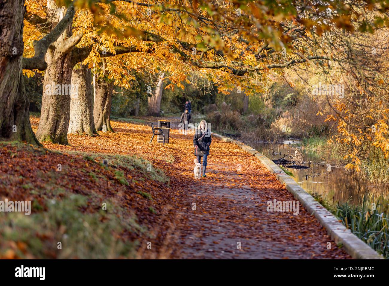 Watford local area photography, England, UK Stock Photo - Alamy